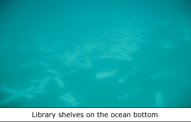 Shelf Reef Project – Marine Resources Library