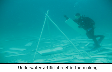 Shelf Reef Project – Marine Resources Library